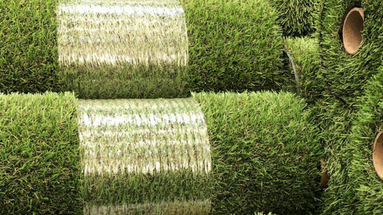 Synthetic Grass- A Cool Option For Your UNIQUE Backyard