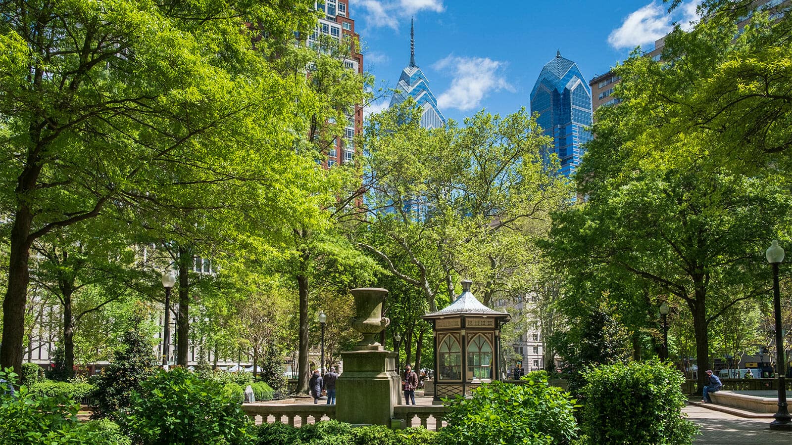 Benefits of Trees in Your Landscape