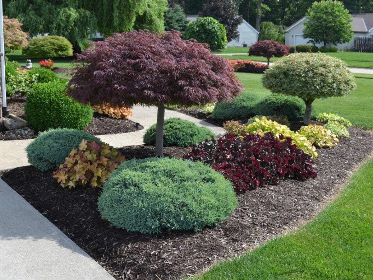The Elements of Landscape Design