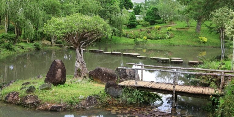 Basic Elements of Landscape Design